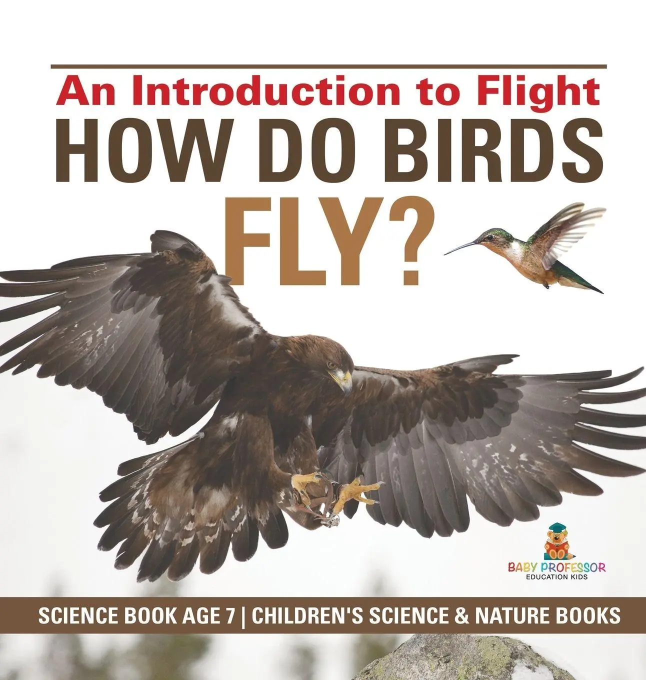 How Do Birds Fly? An Introduction to Flight - Science Book Age 7 ...